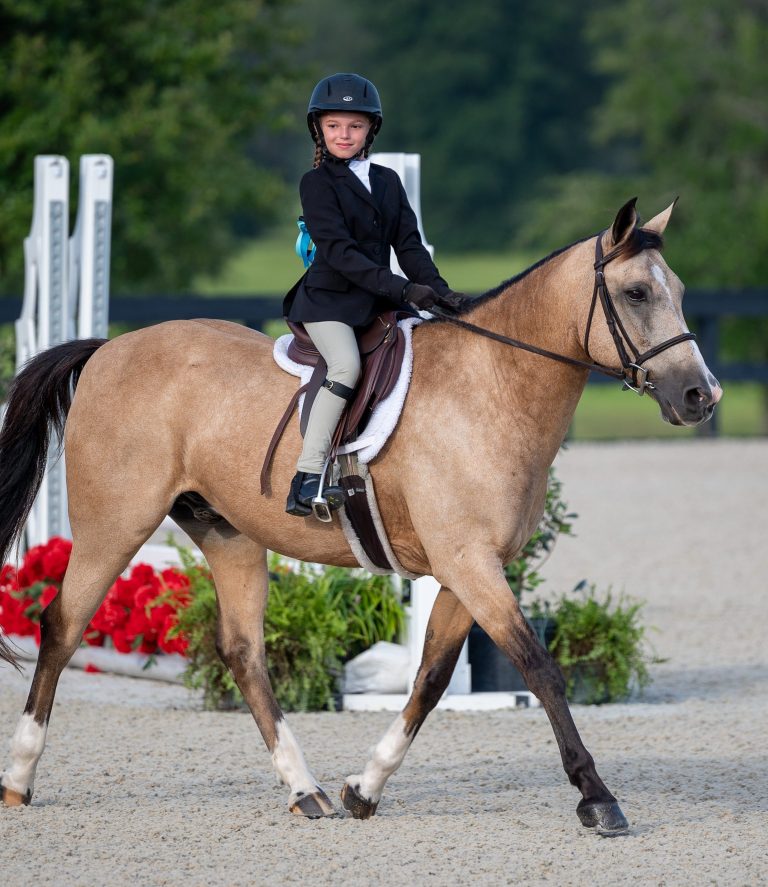 Showing - Spitfire Farm, LLC